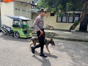 Latihan Rutin, Unit K-9 Dit Samapta Polda Gorontalo Tingkatkan Kepatuhan dan Kesiapsiagaan Satwa ...